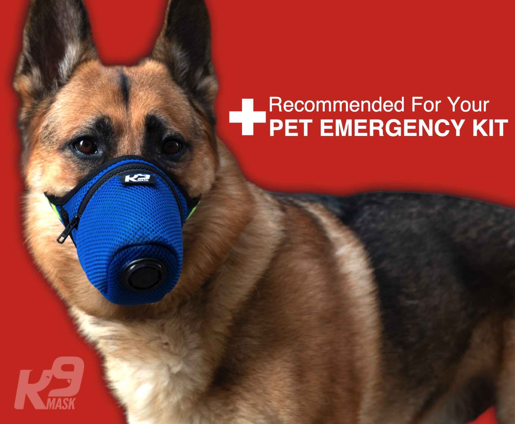 What is a K9 Mask® Air Filter for Dogs? – K9 Mask® by Good Air Team