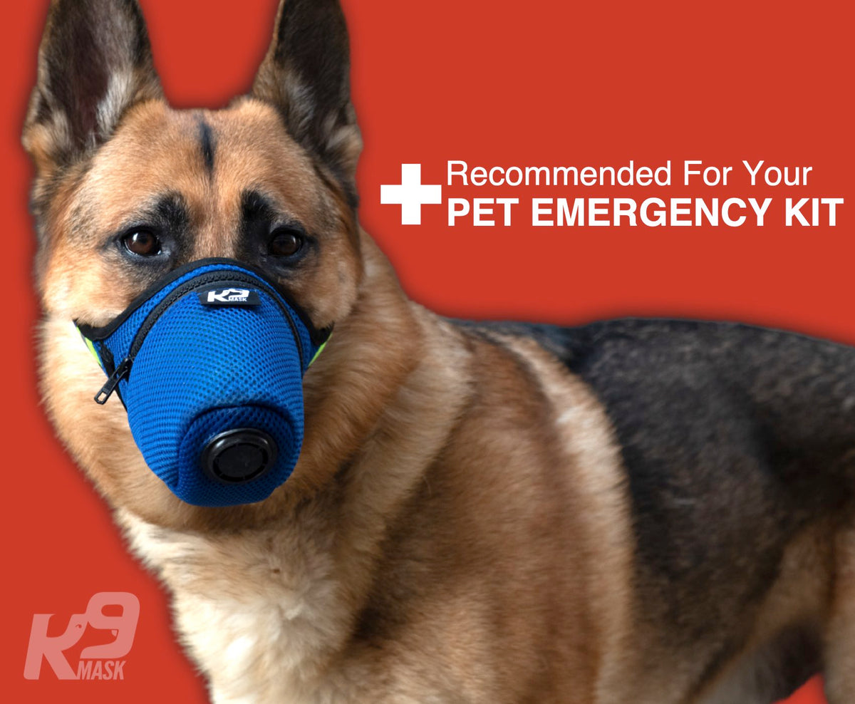 What is a K9 Mask® Air Filter for Dogs? – K9 Mask® by Good Air Team