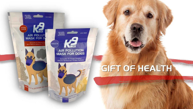 K9 Mask® N95 Air Filter Mask for Dogs in Smoke, Ash, Dust, Tear Gas ...