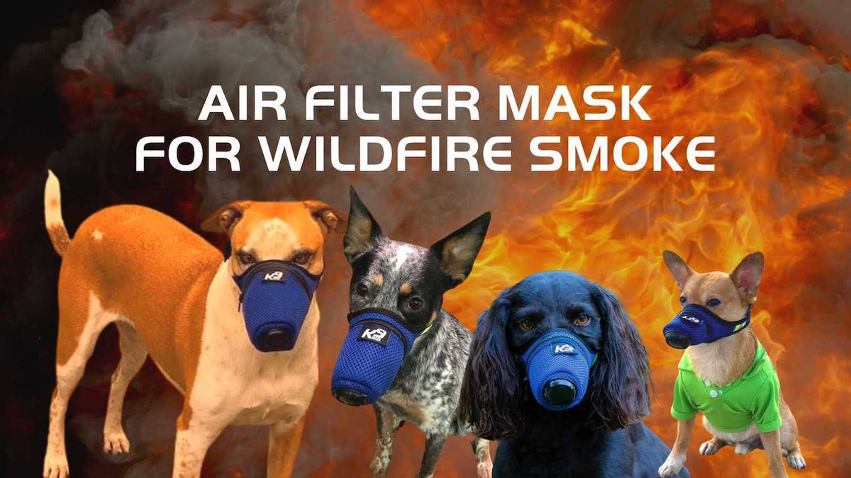 K9 Mask® N95 Air Filter Mask for Dogs in Smoke, Ash, Dust, Tear Gas ...