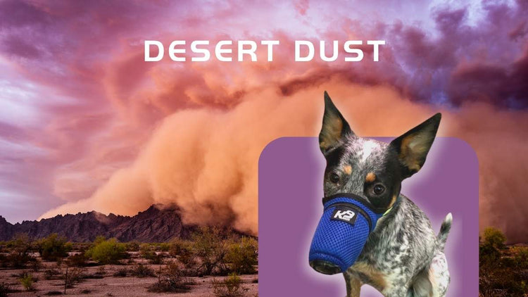 K9 Mask® N95 Air Filter Mask for Dogs in Smoke, Ash, Dust, Tear Gas ...