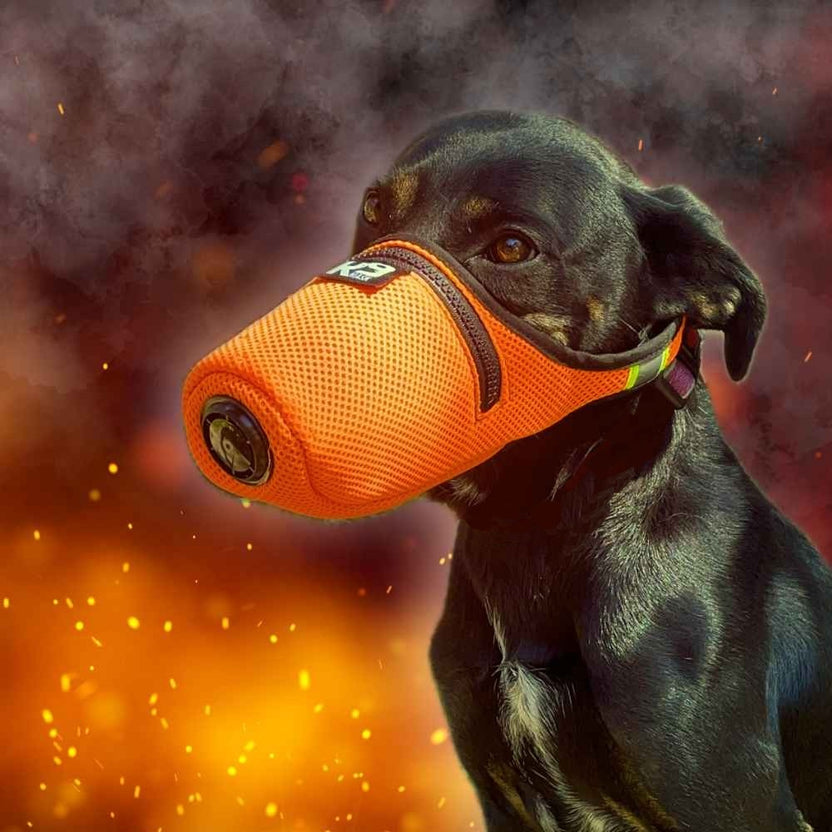 K9 Mask® N95 Air Filter Mask for Dogs in Smoke, Ash, Dust, Tear Gas ...