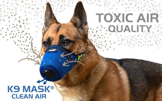 K9 Mask® N95 Air Filter Mask for Dogs in Smoke, Ash, Dust, Tear Gas ...