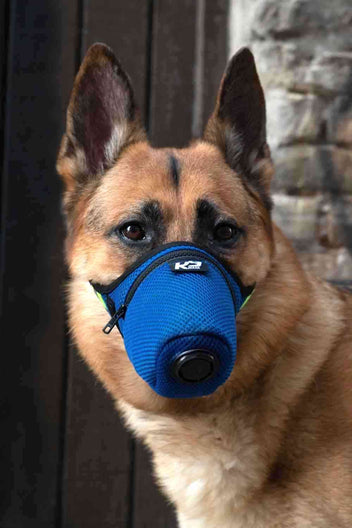 K9 Mask® Air Filter Mask for Dogs in Smoke, Ash, Dust, Tear Gas – K9 ...