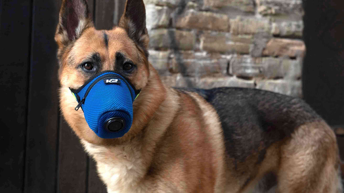 K9 Mask® Air Filter Mask for Dogs in Smoke, Ash, Dust, Tear Gas – K9 ...