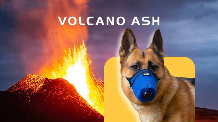 K9 Mask® N95 Air Filter Mask for Dogs in Smoke, Ash, Dust, Tear Gas ...