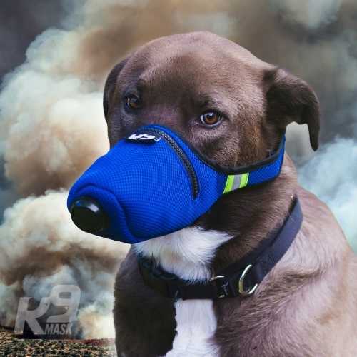 K9 Masks® - Premium Air Pollution Filter Mask For Dogs – K9 Mask® by ...