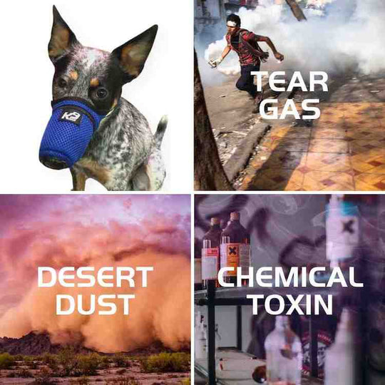 K9 Mask® N95 Air Filter Mask for Dogs in Smoke, Ash, Dust, Tear Gas ...