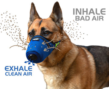 K9 Masks® - Premium Air Filter Mask For Dogs in a Crisis – K9 Mask® by ...