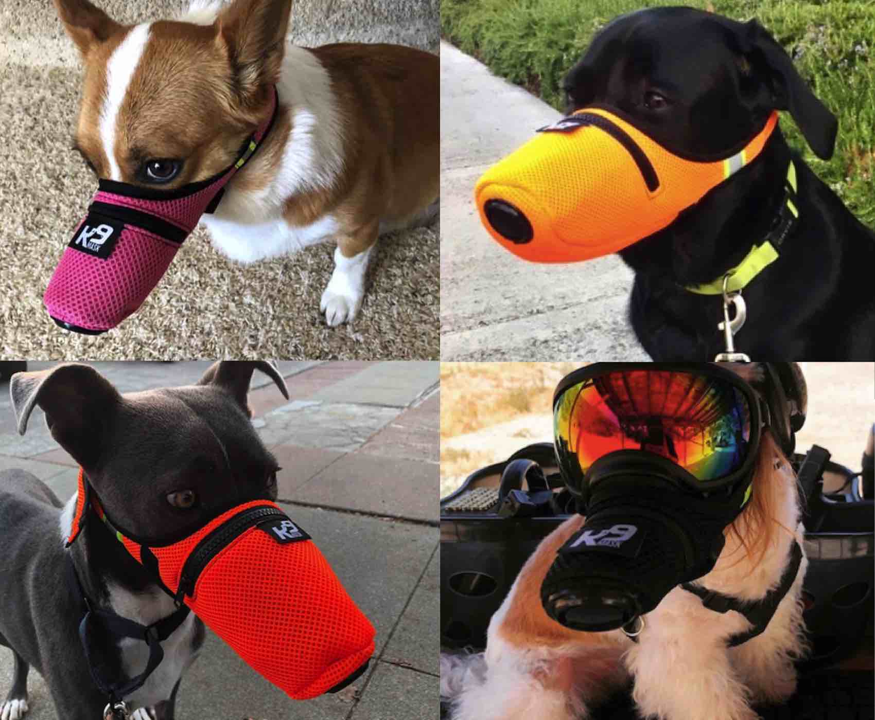 Clearance - K9 Mask® Scratch and Paw Discount Items – K9 Mask® by Good ...